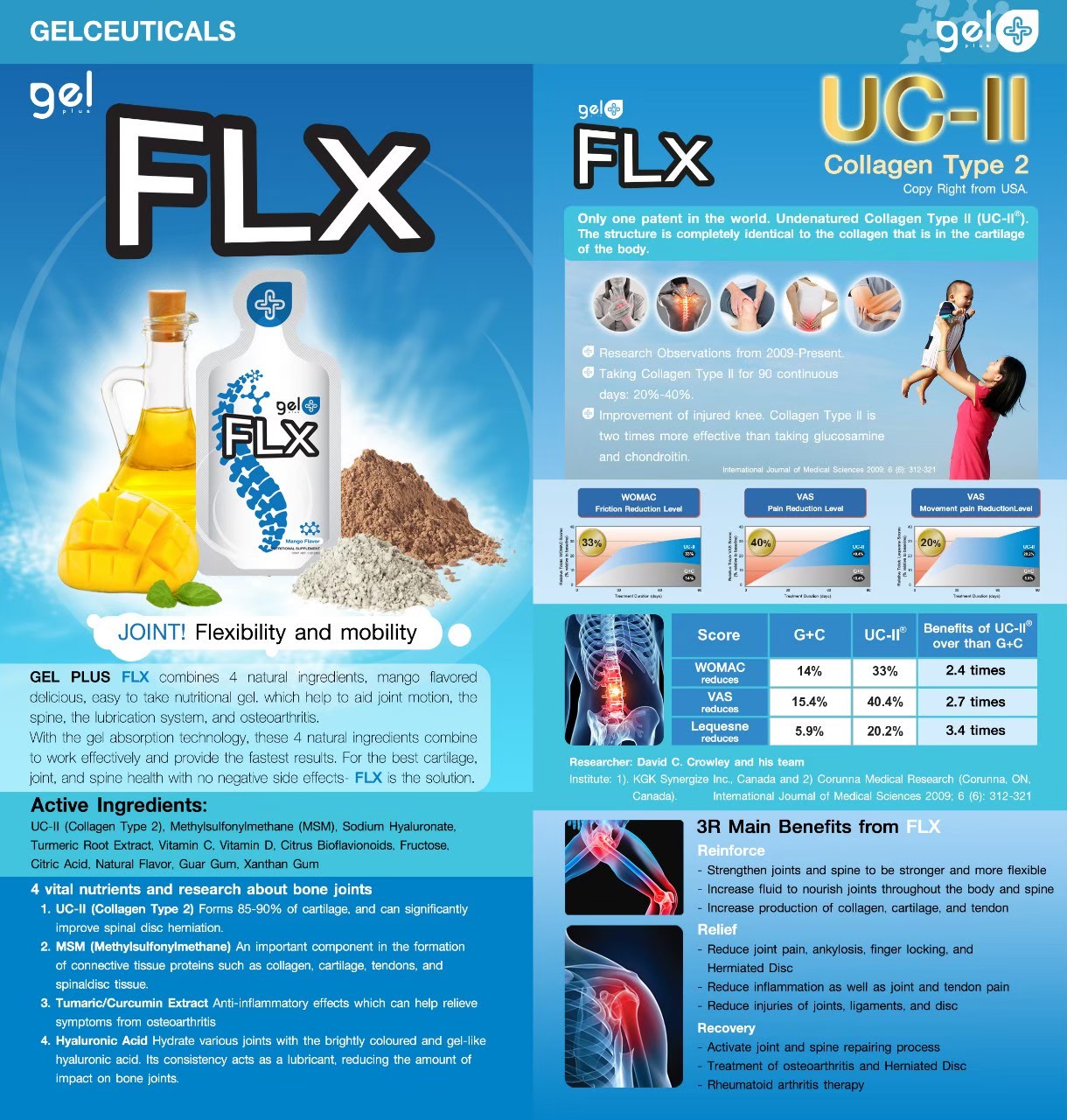 GEL+ FLX - gel-inter.com