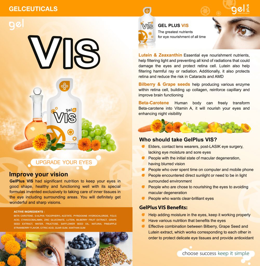 GEL+ VIS - gel-inter.com